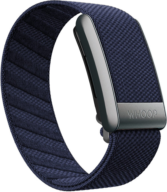 Blue Jay SuperKnit Band – WHOOP Canada